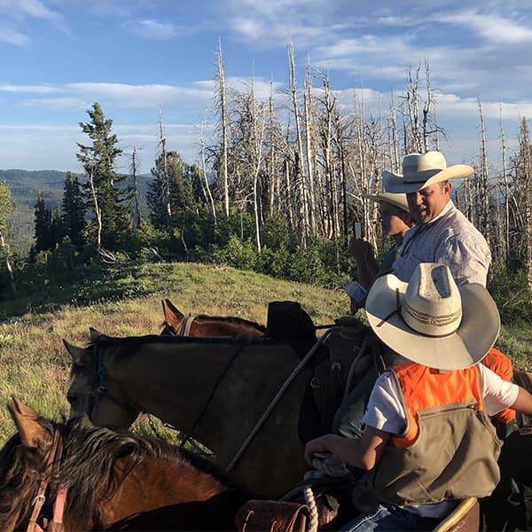 Provider of bespoke and fixed LED displays - LED Studio